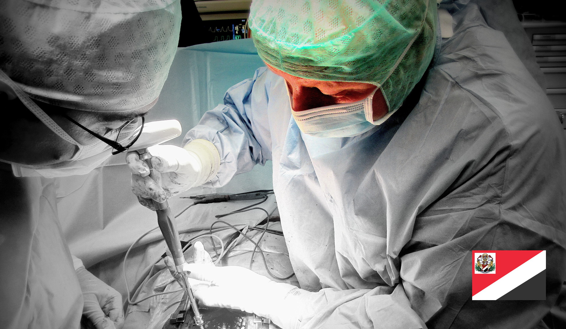 Advances in Spine Surgery – Sealand Spine Community